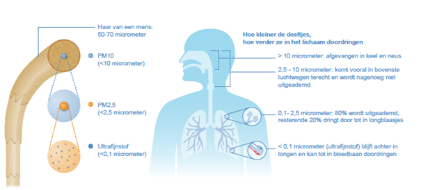 Luchtkwaliteit en gezondheid in de IJmond | RIVM